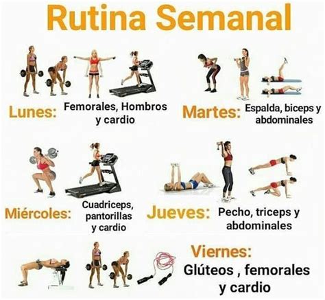 Cómo Organizar Tu Rutina Semanal En El Gym Rutinas De Entrenamiento