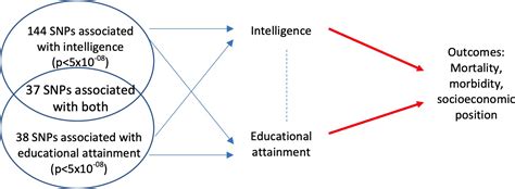 Figures And Data In Multivariable Two Sample Mendelian Randomization