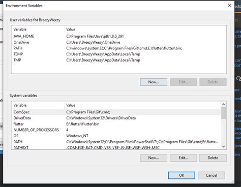 exception cannot run program e flutter flutter bin flutter bat