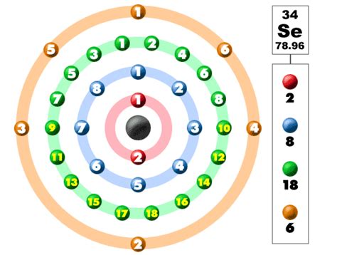 [diagram] Orbital Diagram Selenium Mydiagram Online