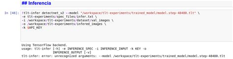 tlt infer unrecognized arguments tao toolkit nvidia developer forums