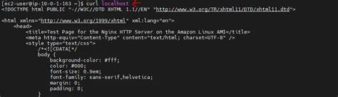 aws applications deployment basics setup nginx dzone