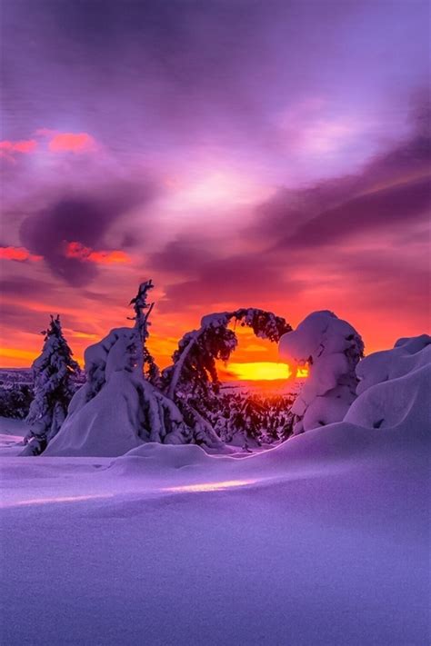 Fonds Décran Hiver Neige Forêt Coucher De Soleil 1920x1200 Hd Image
