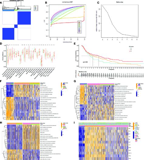Classification Of Melanoma Based On Crgs A Molecular Subtypes Based