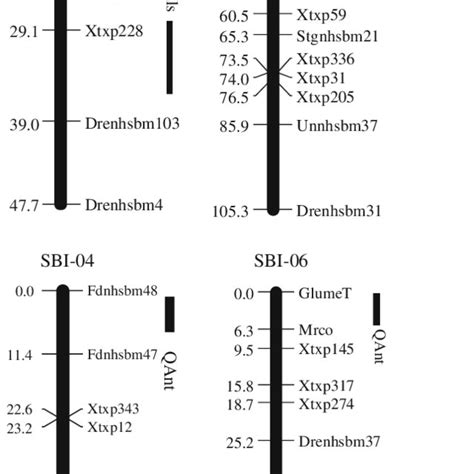 Linkage Groups Of Sorghum Showing Quantitative Trait Loci Qtls