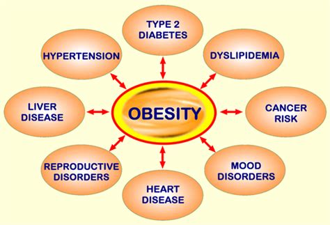 Effects Of Overweight And Obesity Weight Management Expert 233248597897