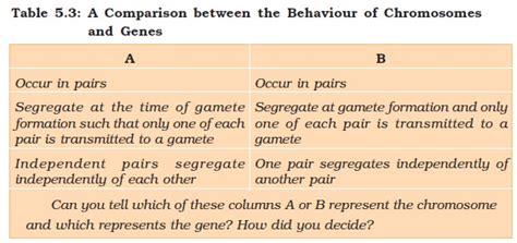 Ncert Class Xii Biology Chapter 5 Principles Of Inheritance And