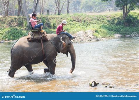 Tourists Riding Elephants Across The River Editorial Stock Image