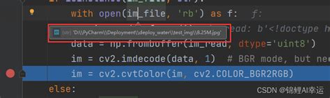 解决 error 215 assertion failed src empty in function ‘cv