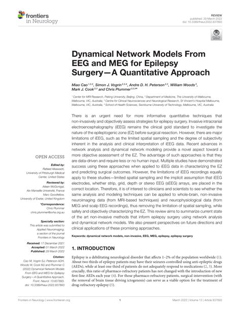 Pdf Dynamical Network Models From Eeg And Meg For Epilepsy Surgery—a