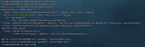 linux安装mysql5 7 详细到极致 小威博客