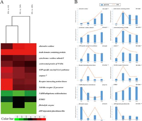 Qrt Pcr Verification Of The Digital Gene Expression Profiles Of