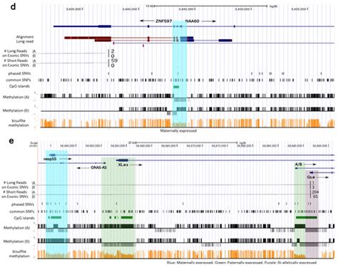 Genes Special Issue Advances In Single Molecule Real Time Smrt