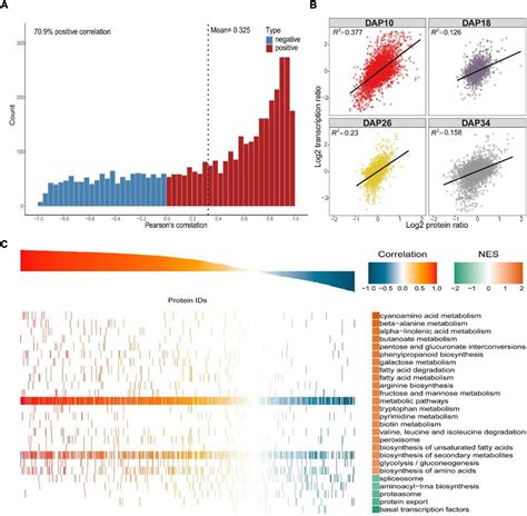 Frontiers Quantitative Transcriptomic And Proteomic Analysis Of Fruit