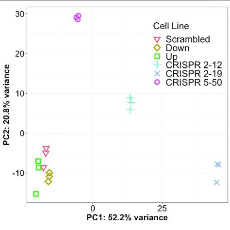 Each Cell Line Has A Unique Global Transcriptome Principal Component