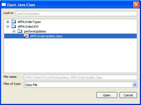 create a physical data service from a java function