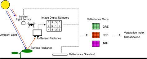 Vegetation Monitoring Using Multispectral Sensors — Best Practices And