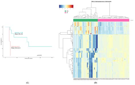 Ijms Free Full Text Integrative Genomic And Transcriptomic