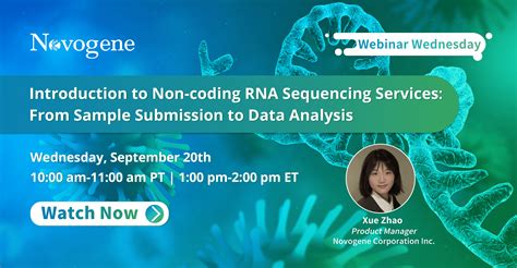 Introduction To Non Coding Rna Sequencing Services—from Sample