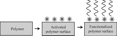 A Schematic Representation Of Surface Modification Download