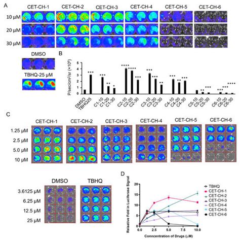 Cancers Free Full Text A New Nrf2 Inhibitor Enhances
