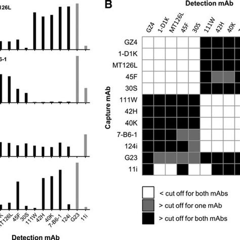 Epitope Mapping By Sandwich Elisa All Mabs Were Analyzed In All