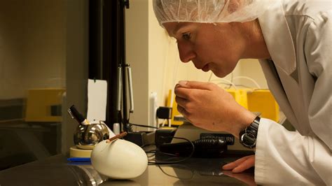 impressive response to doc scholarship programme media release 2 march