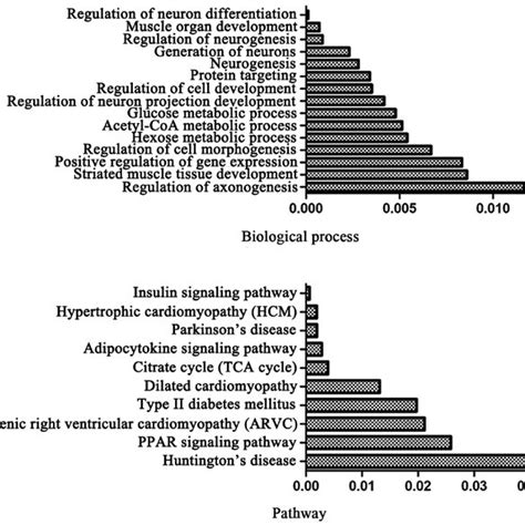 Function Enrichment Of The Differentially Expressed Genes A