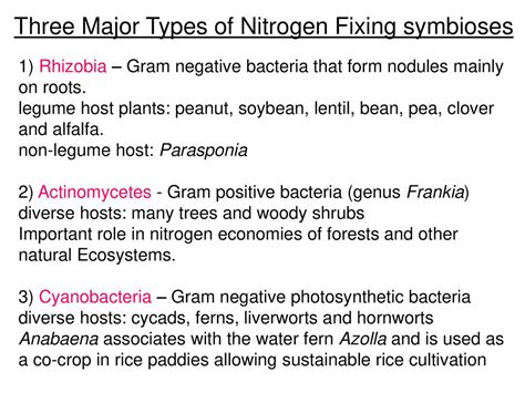 Microbial Symbioses Root Nodule Symbiosis Ppt Download