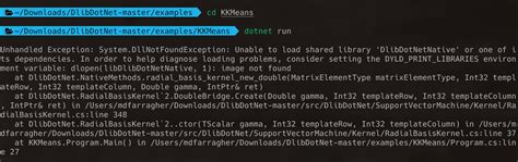 system dllnotfoundexception unable to load shared library