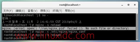 nginx报错nginx [error] open “ run nginx pid” failed 2 no such file