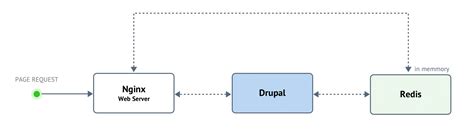drupal 8 and redis part 1 nginx serve content directly out of a redis