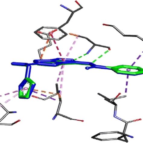 Redocking Pose And Docking Interactions Of Co Crystallized Compound