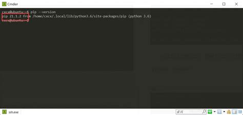 Linux Ubuntu系统 Python虚拟环境pipenv的安装配置与使用 详细版！！！ Ubuntu 安装pipenv Csdn博客
