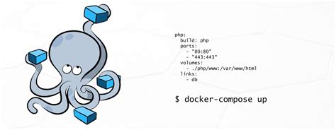 setting up a development environment with docker compose