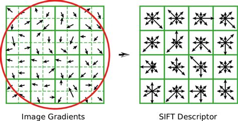 1 sift descriptor the well known sift descriptor consists of 3d
