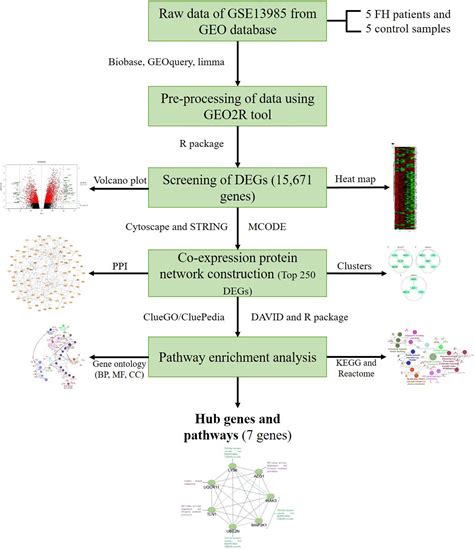 Frontiers Analysis Of Differentially Expressed Genes And Molecular