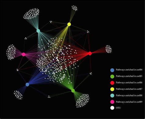 The Bipartite Network Based On The Relationships Between Otus And