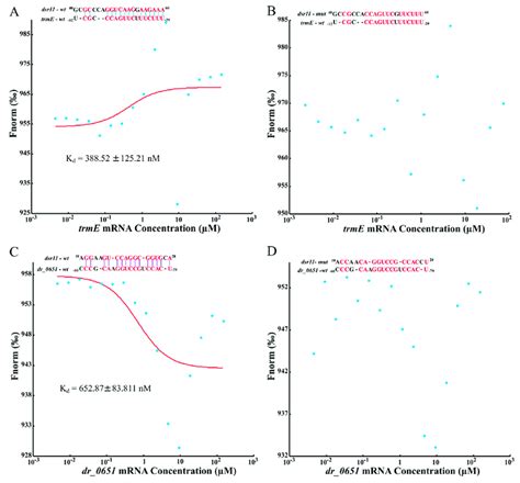 Determination Of The Binding Affinity Of Dsr11 To Target Mrnas By