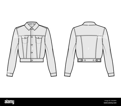 Crop Cropped Body Stock Vector Images Alamy