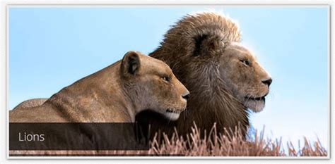 pure css3 images slideshow effect image slideshow