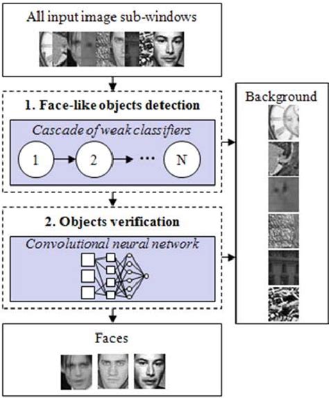Figure 1 From Human Age Group Classification Of Facial Images With