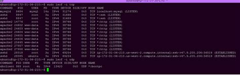 how to list open files in linux lsof command geeksforgeeks