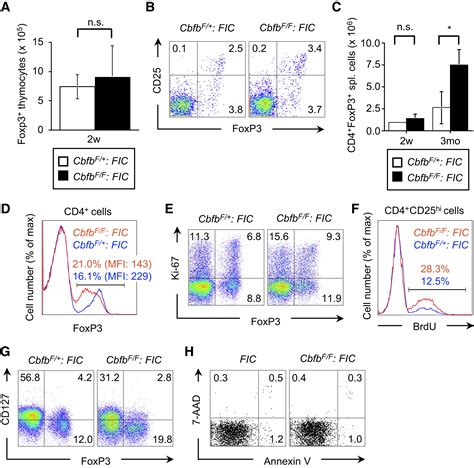 Indispensable Role Of The Runx1 Cbfβ Transcription Complex For In Vivo
