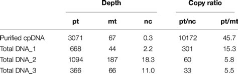 Cpdna Purity Coverage Depths And Copy Ratio Of Plastid Pt