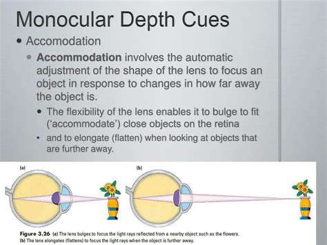 Ppt Depth Principles Powerpoint Presentation Free Download Id 2565358