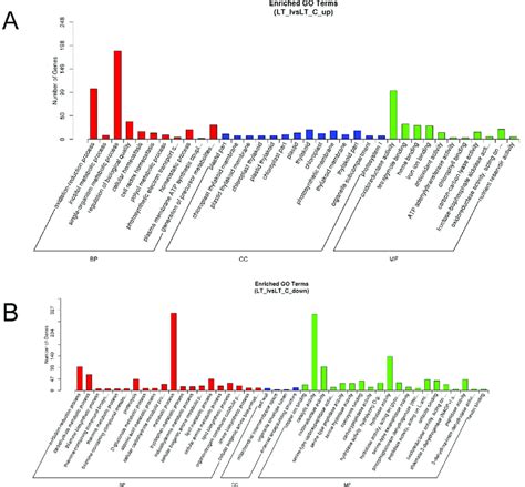 A Go Annotation Of Upregulated Genes Between The Sample Lt 1 Vs Lt C