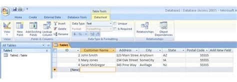 how to insert new records and fields into an access 2007 table