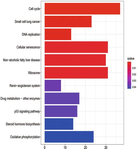 Kegg Pathway Enrichment Analysis Of Degs From The 24 H Group Download