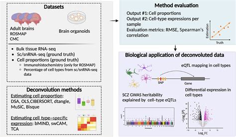 Evaluating Performance And Applications Of Sample Wise Cell